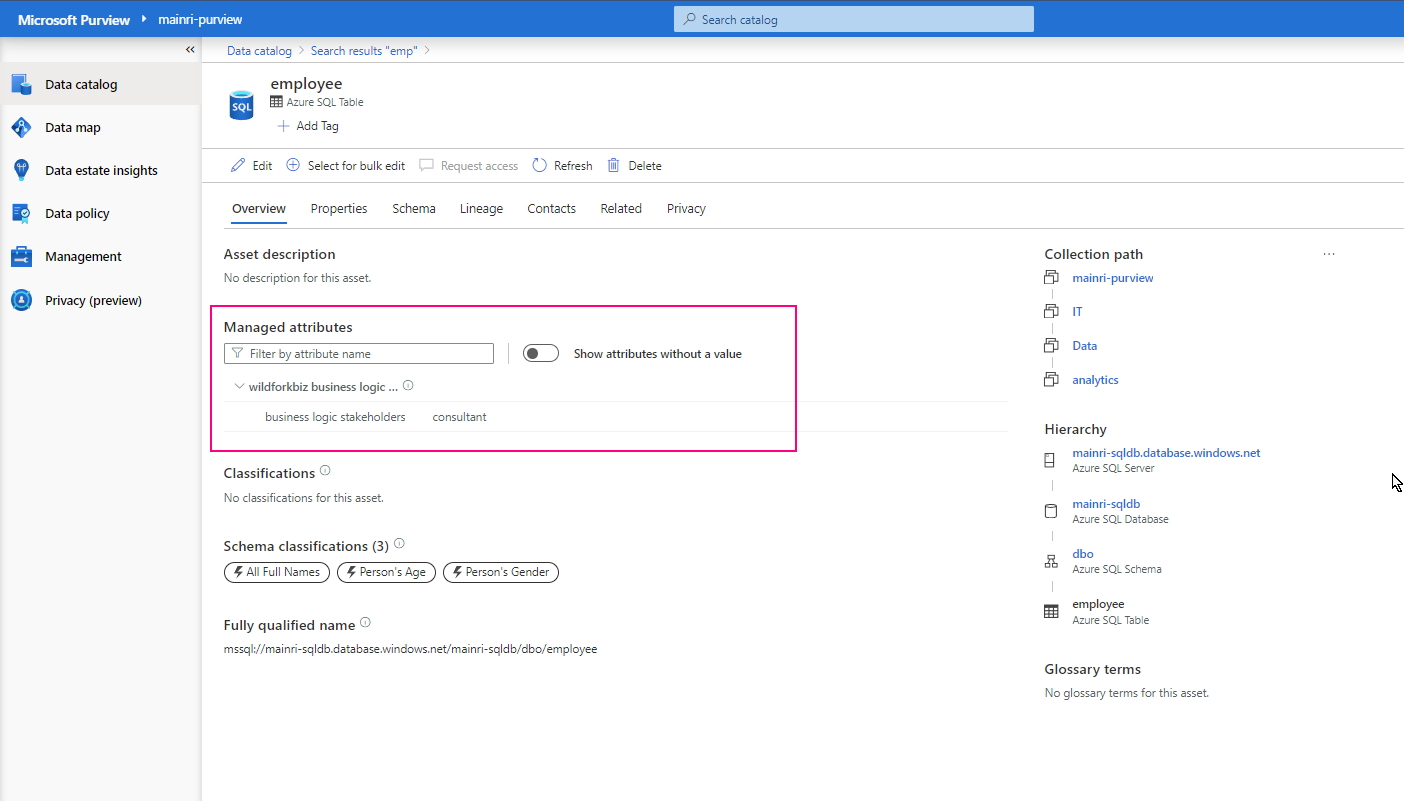 Day 9: Managed attributes in Data Map – mainri
